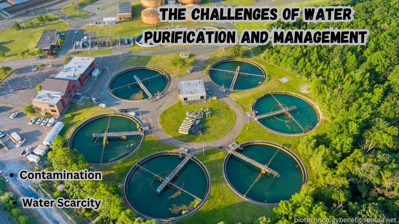 Biotech Solutions for Water Purification and Management: Benefits of ...